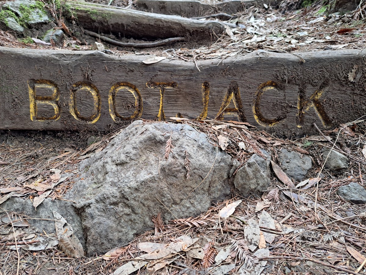 Bootjack Campground, Mount Tamalpais – Sylvia Cognac Travel Blog